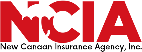 NCIA Pulse Transmittal System